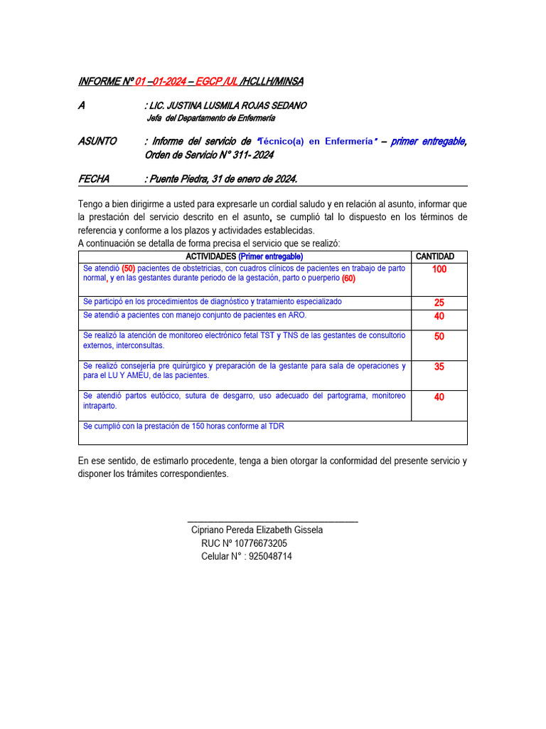 MODELO Informe de Servicio _2024 Avance | PDF