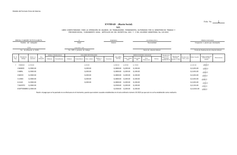 Plantilla Ericka | PDF | Salario | Economias