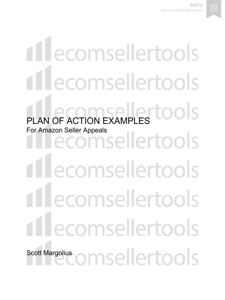 Ecomsellertools Plan of Action EXAMPLES Book | PDF | Trademark ...