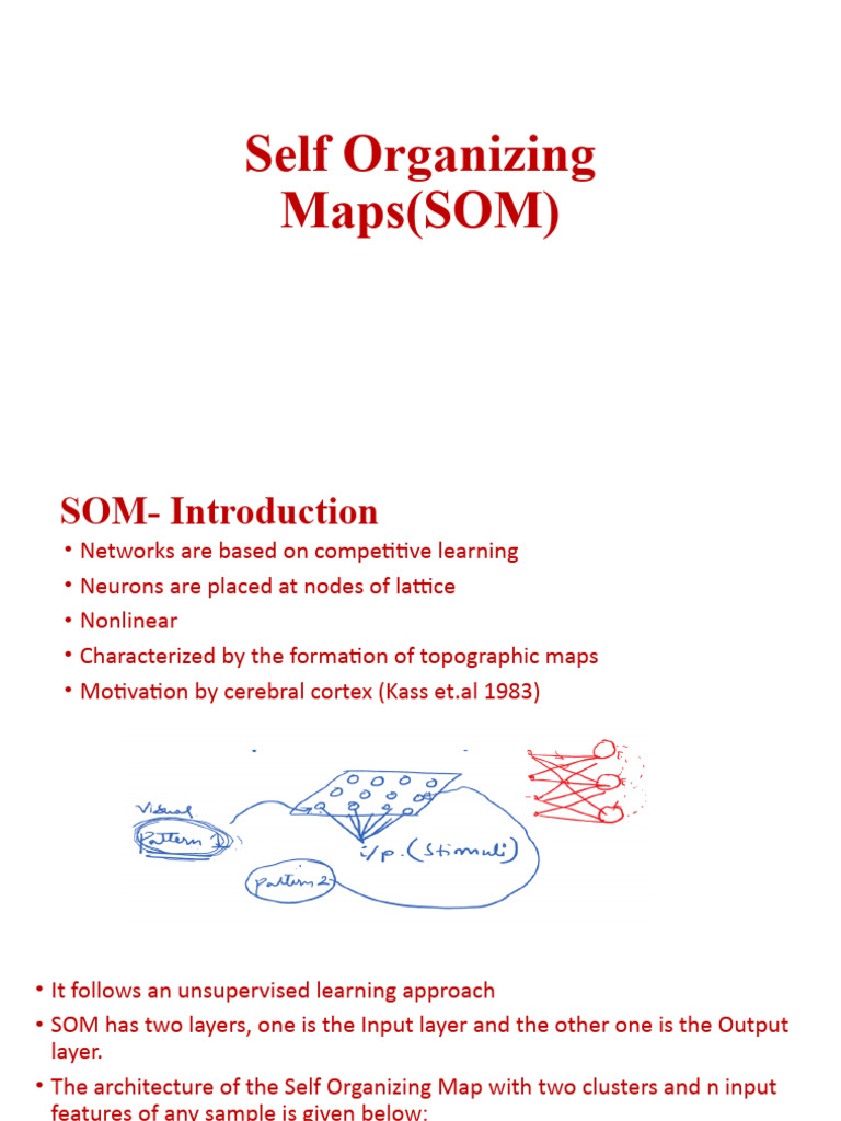 Self Organizing Maps | PDF | Applied Mathematics | Computational ...
