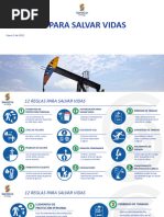 Reglas Que Salvan Vidas | PDF