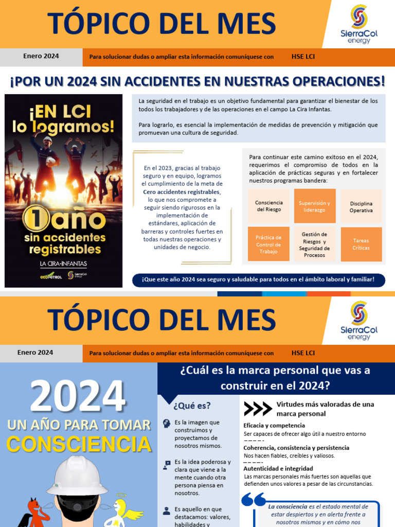 Seguridad y Marca Personal 2024 | PDF | Valores | Mente