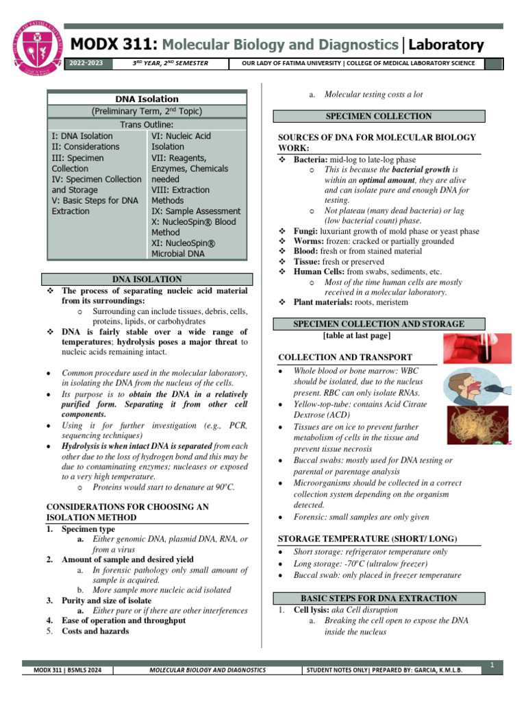MODX LAB 2 - DNA Isolation | PDF | Gel Electrophoresis | Dna