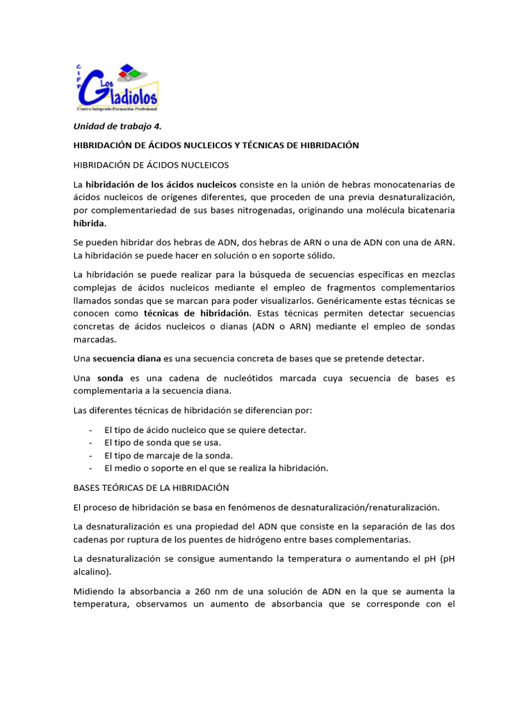 UT4. Hibridación | PDF | Hibridación de ácido nucleico | Blot (biología)