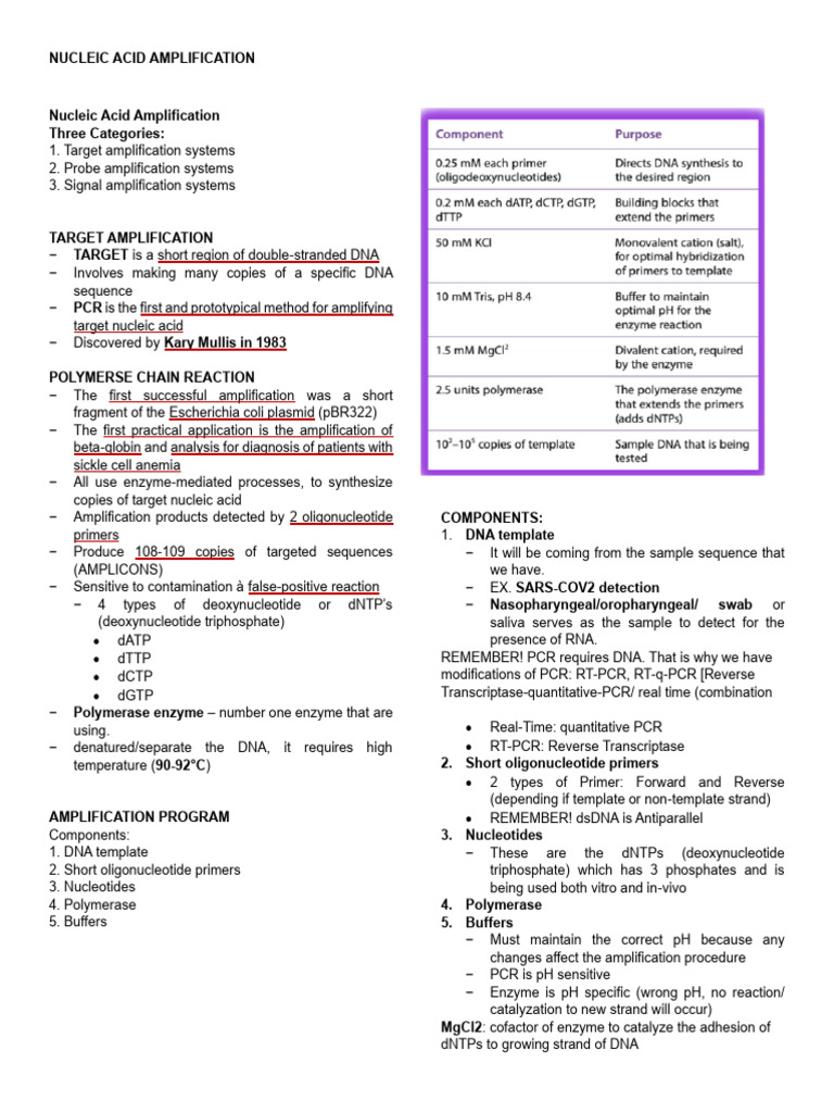 Nucleic Acid Amplification | Download Free PDF | Polymerase Chain Reaction | Primer (Molecular ...