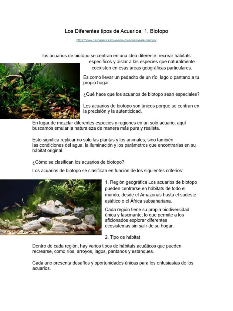 Acuarios de Biotopo: Tipos y Creación | PDF | Acuario | Habitat