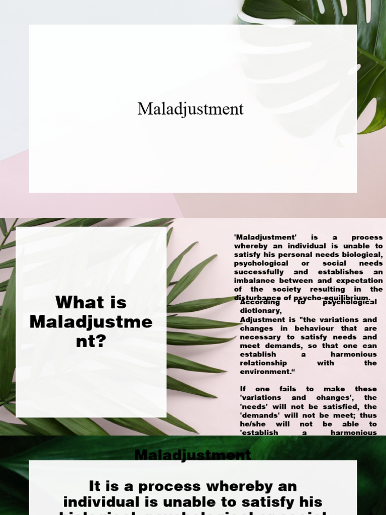 Maladjustment | Download Free PDF | Anxiety | Juvenile Delinquency