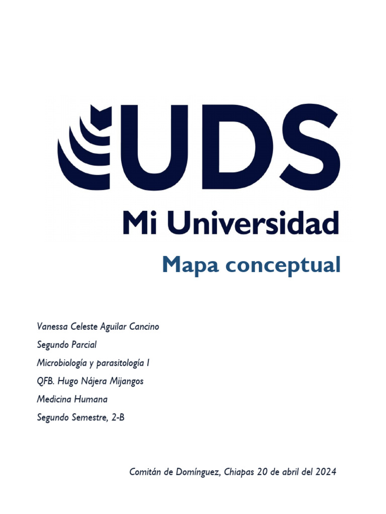 Mapa Conceptual Micro | PDF | Tuberculosis | Estreptococo