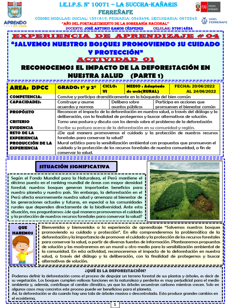 DPCC 1° y 2° RURAL EXP. 4 Sesion 1 | PDF | Los bosques | Deforestación