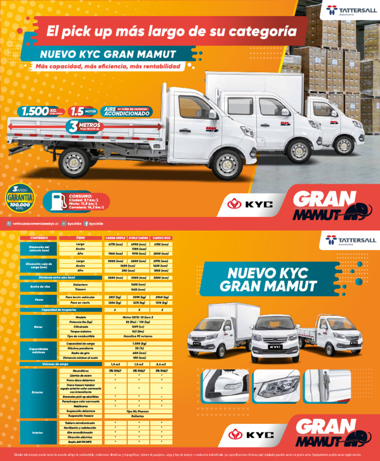 Ficha KYC T3 Gran Mamut | PDF