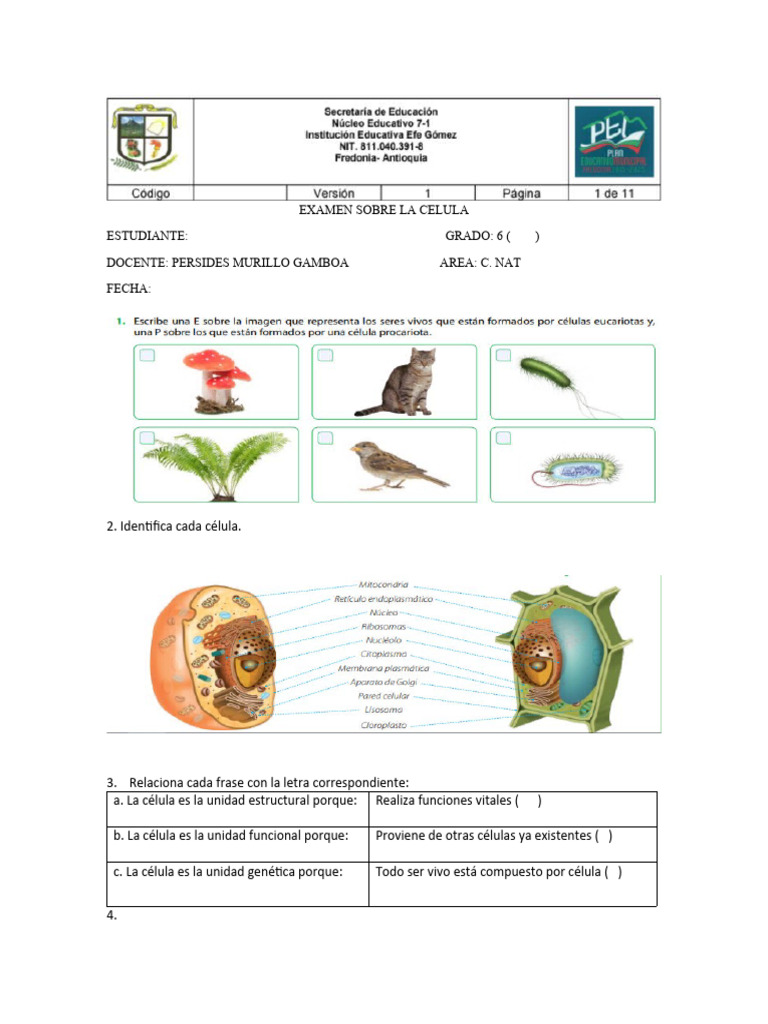 Examen de Ciencias: La Célula para 6º Grado | PDF | Artes del Lenguaje ...