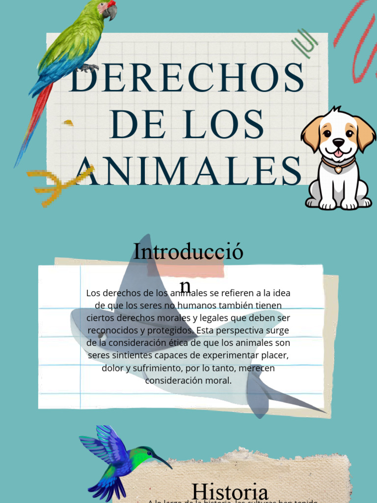Derechos Animales: Principios y Acciones | PDF | Derechos animales ...
