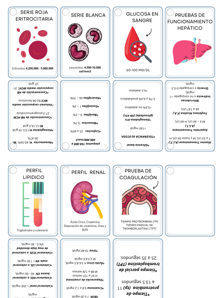 Minimalist Biology Cell Organelles Science Flash Cards | PDF ...