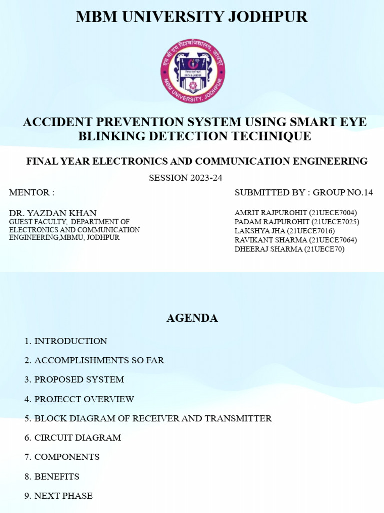 Project PPT PDF Final | PDF | Business