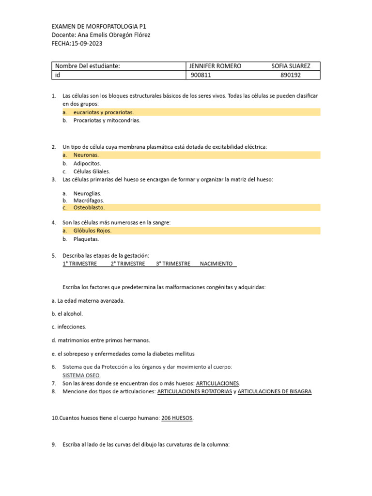 Examen p1 Anatomia | PDF | Hueso | Articulación