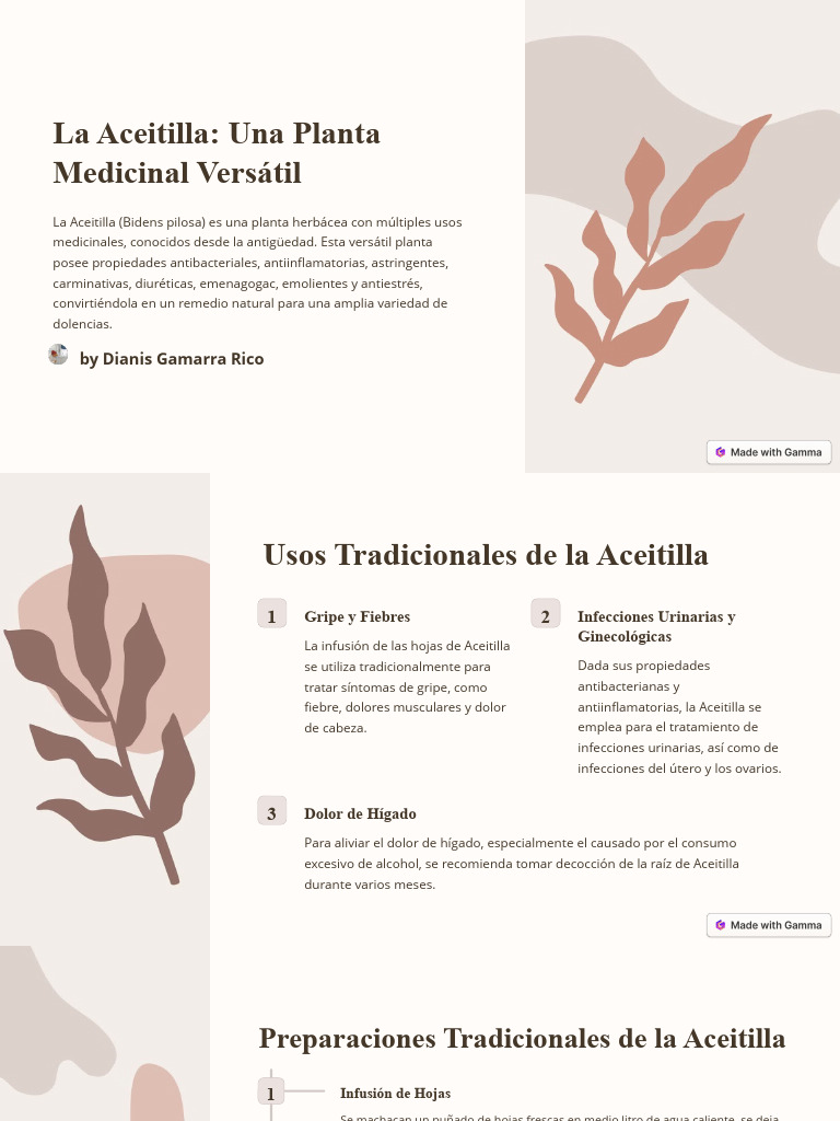 La-Aceitilla-Una-Planta-Medicinal-Versatil - Clase 3pptx | PDF | Antiinflamatorio | Farmacología