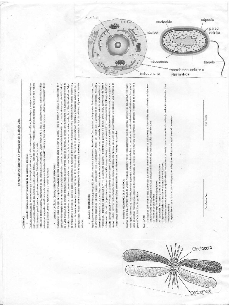 Modulo 2do 2024 | PDF