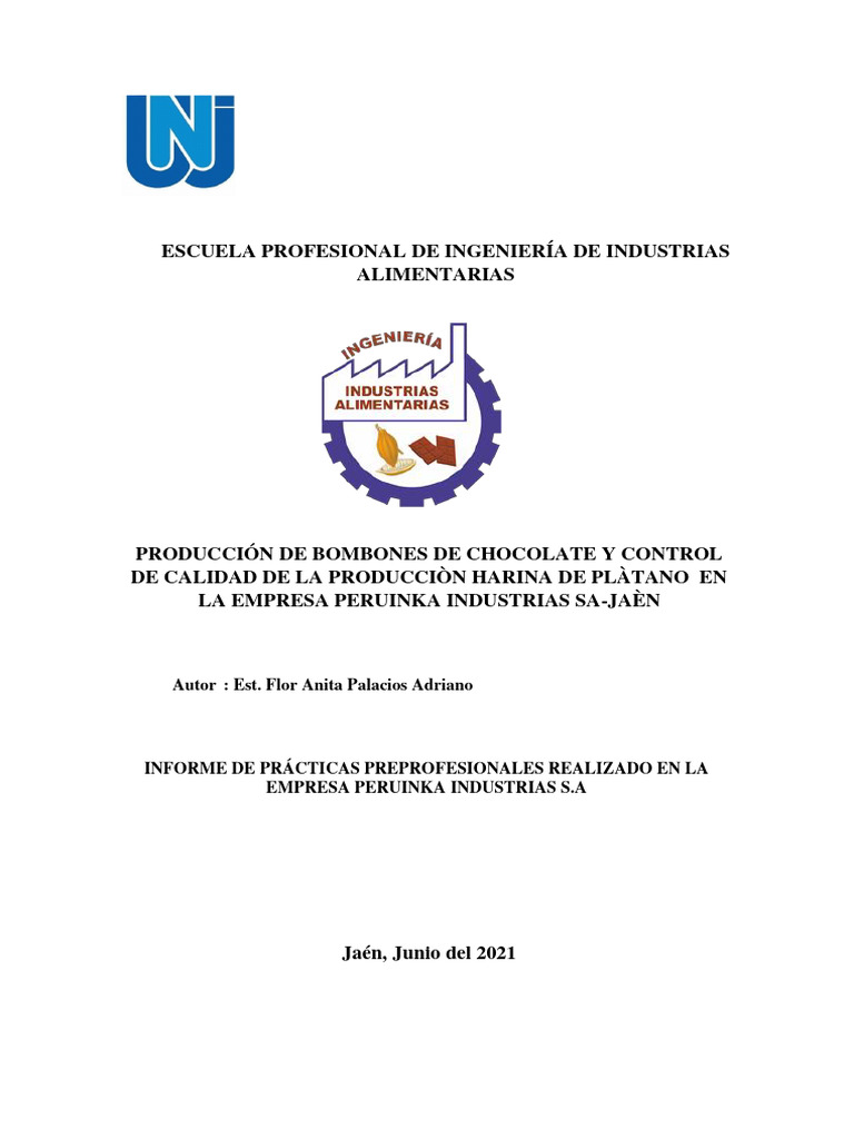 Informe Final De Practicas Preprofesionales Pdf Chocolate Business