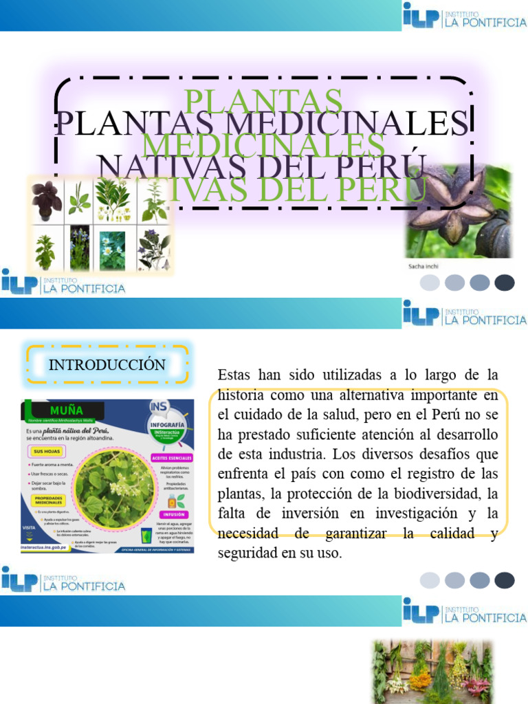 Plantas Medicinales Nativas Peruanas | PDF | Plantas medicinales | Medicina