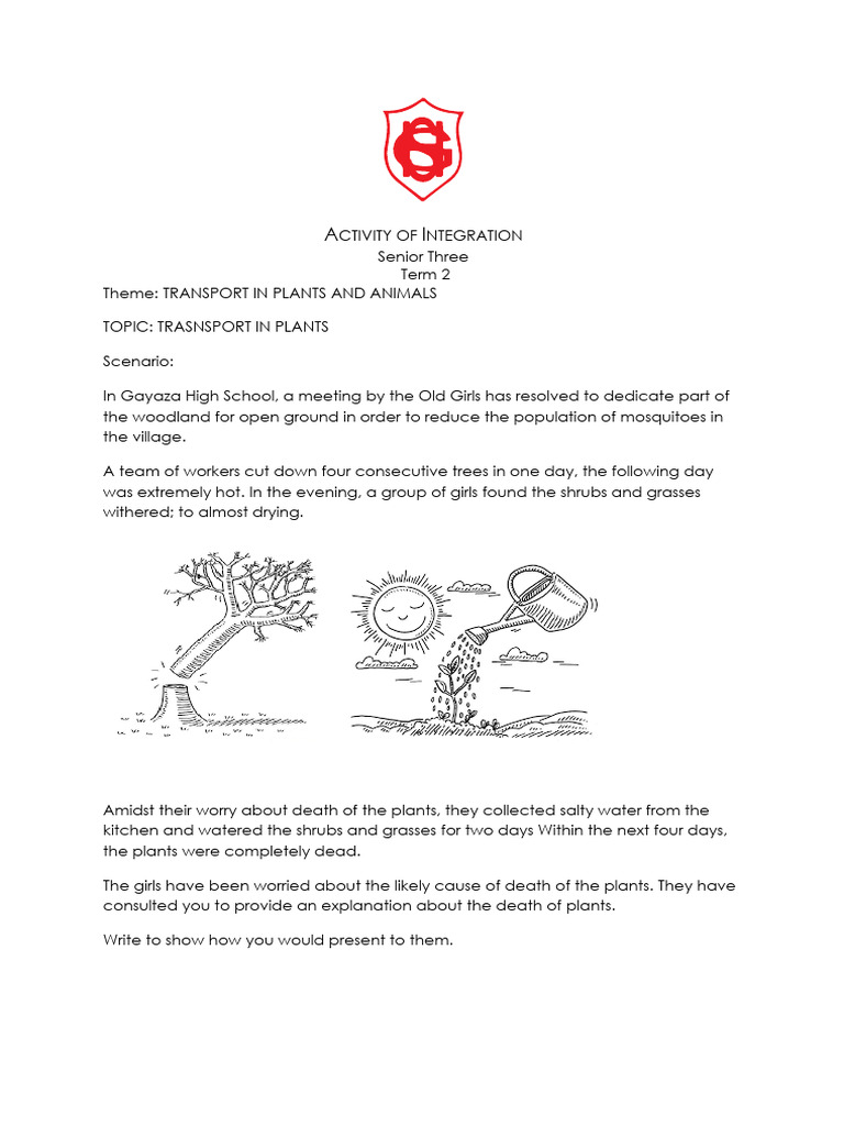 Transport in Plants: Integration Activity | PDF | Stoma | Earth Sciences