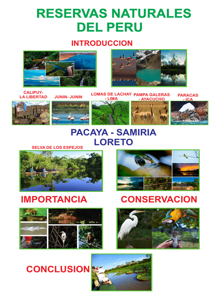 Reservas Naturales Del Peru | PDF