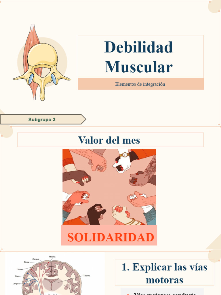 Debilidad Muscular | PDF | Neurología | Anatomía humana