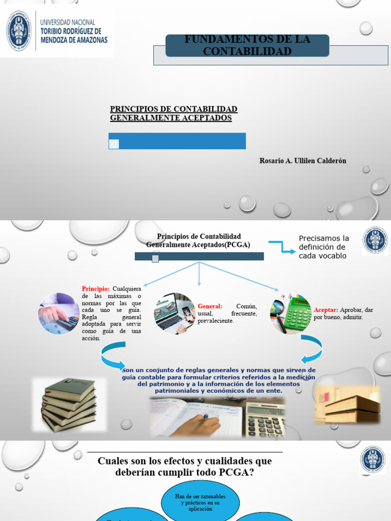 4 Pcga | PDF | Contabilidad | Economias