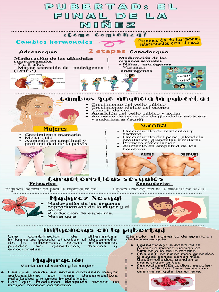 PUBERTAD | PDF | Obesidad | Pubertad