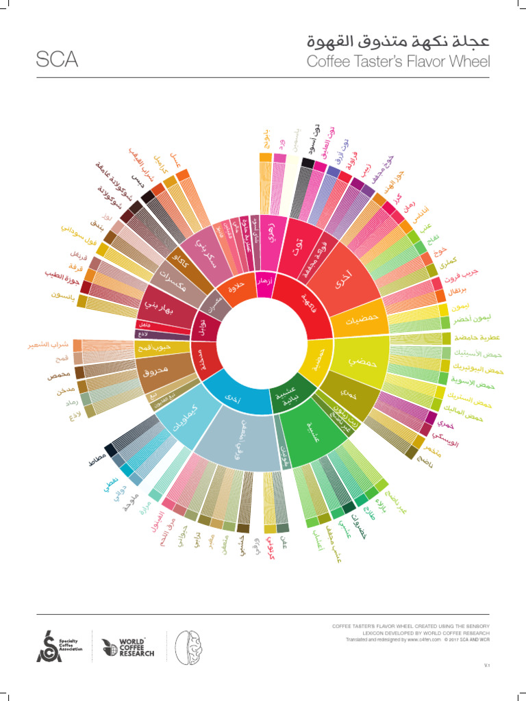 AW SCA Flavor-Wheel Poster ARABIC 2018 C4fe Com | PDF | Coffee