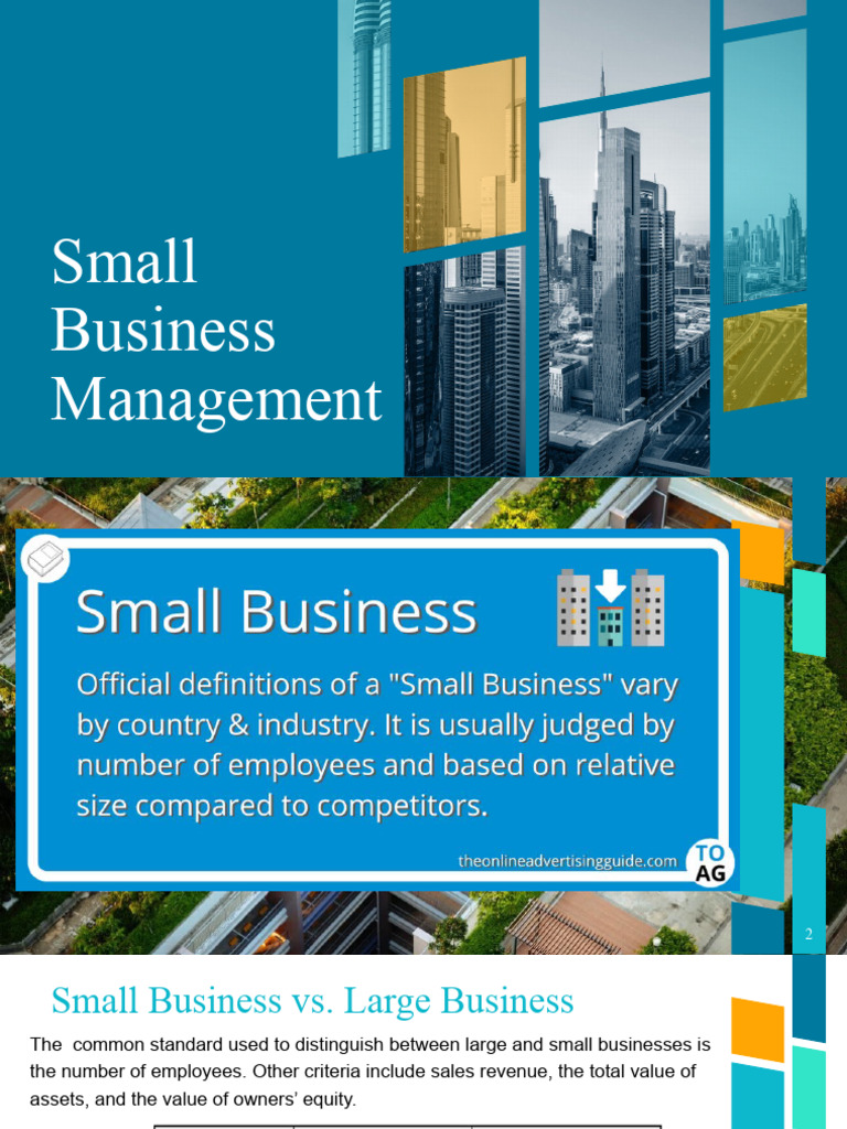 1 An Overview of Small Business | PDF | Competition | Private Sector