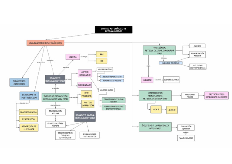 Mapa Conceptual 1 | PDF