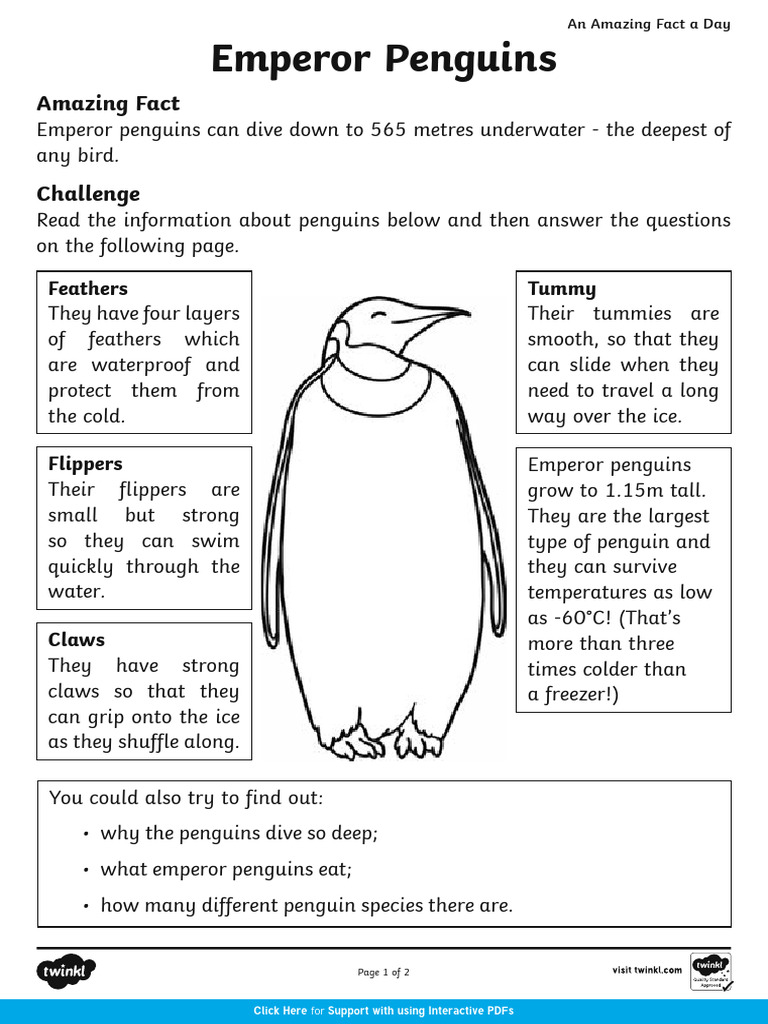 t Tp 2660823 Interactive PDF Emperor Penguin Reading Comprehension ...