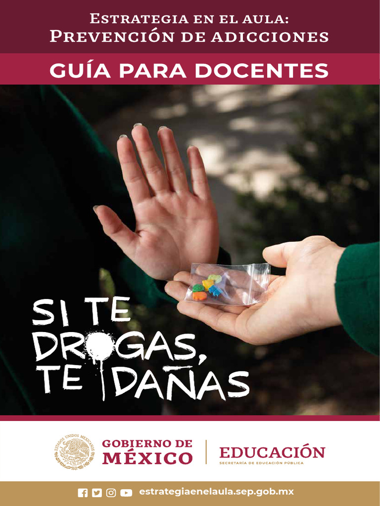 Drogas y Su Clasificación 2 Clase | PDF | Drogas | Despachador de drogas