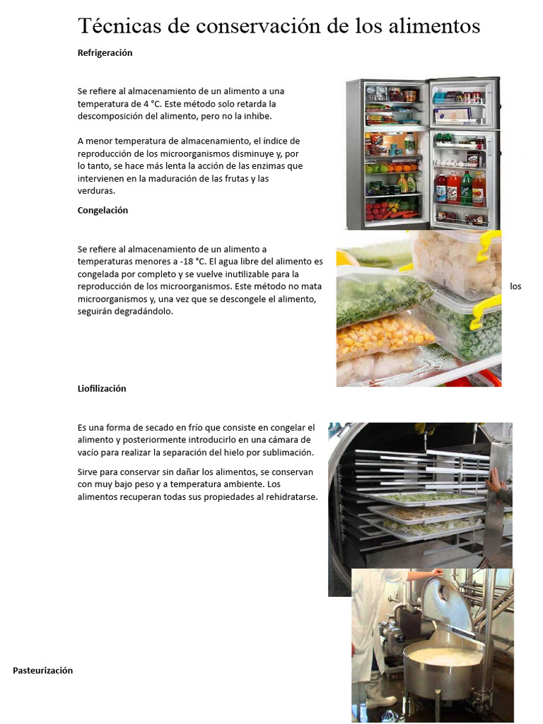 Técnicas de Conservación de Los Alimentos | PDF | Conservación de los alimentos | Alimentos