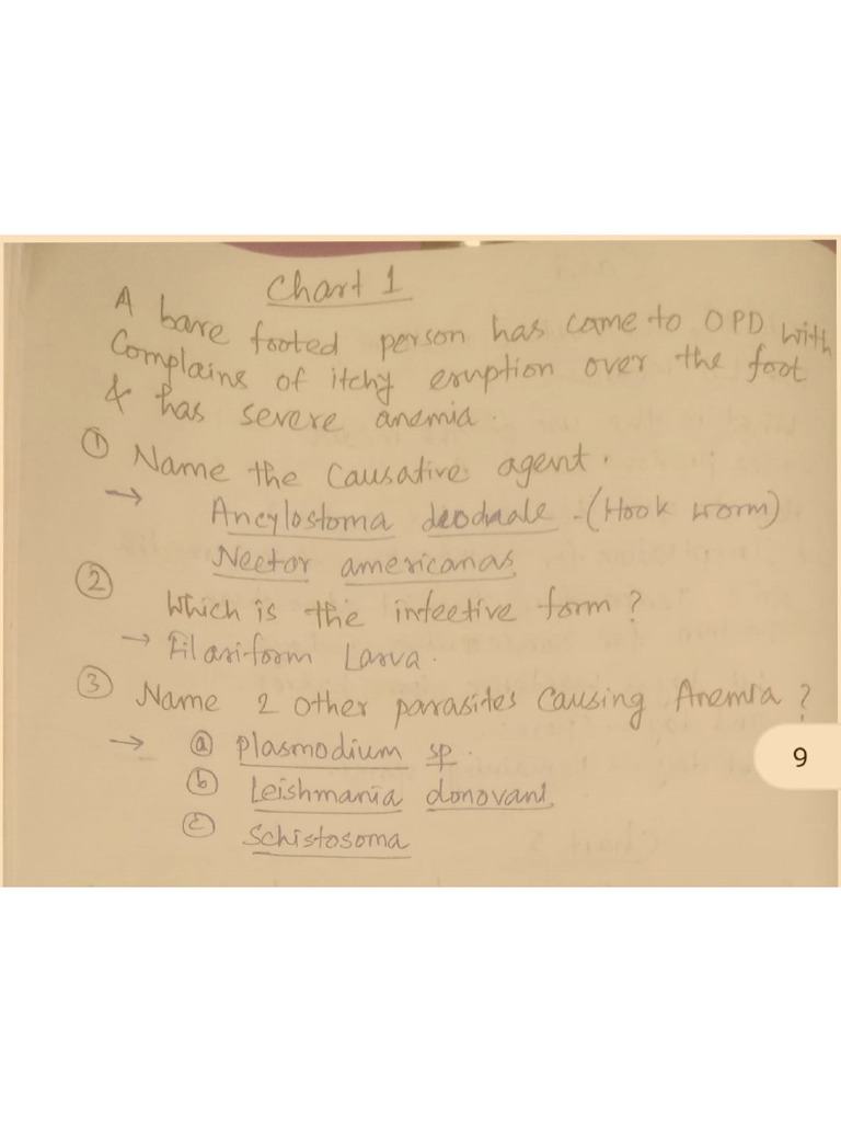 Rapid Micro Chart | PDF