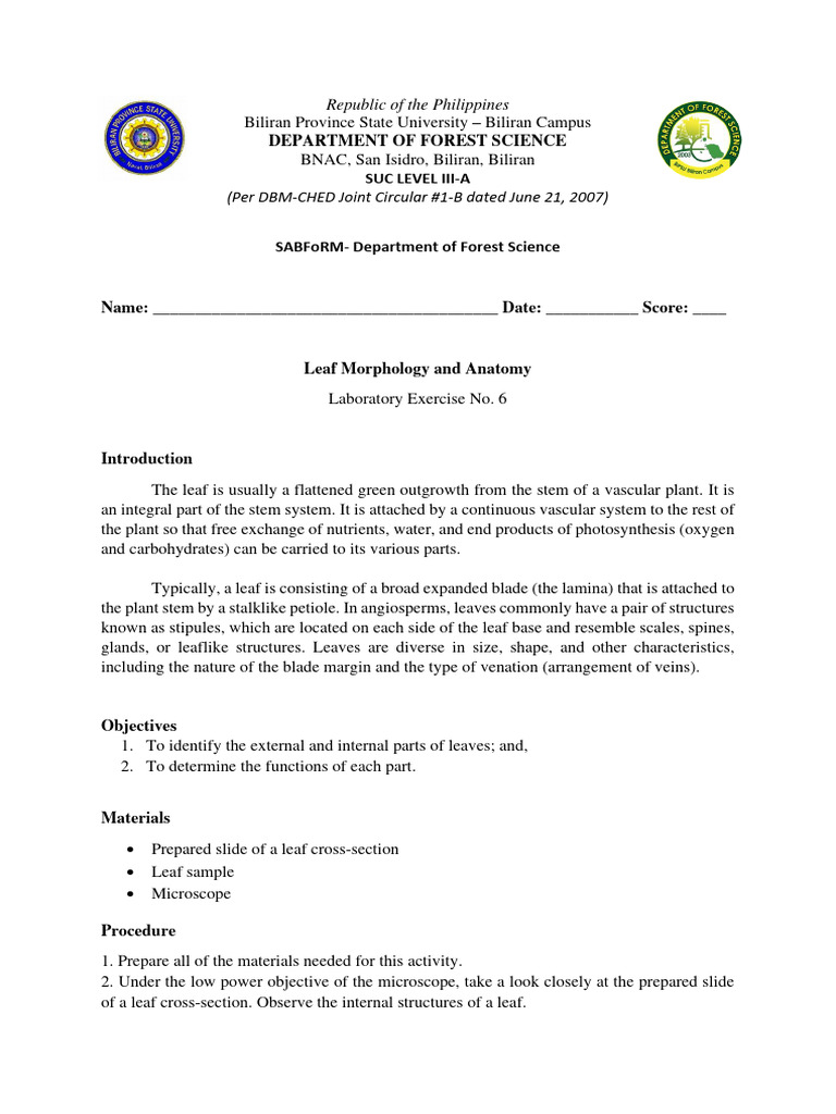 Lab Exercise No 6 Leaf Morphology and Anatomy | PDF Lab Exercise No 6 Leaf Morphology and Anatomy | PDF