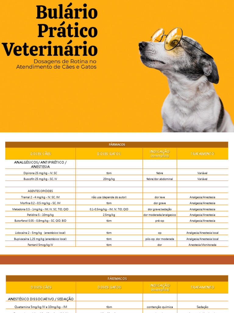 Bulário de Medicamentos Veterinários | PDF | Analgésico | Medicina ...