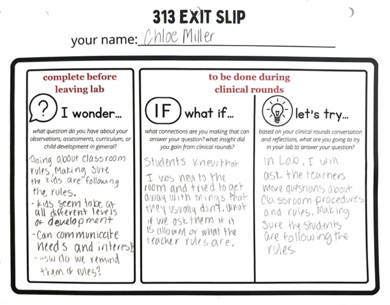 Edt 313 Exit Slip 1 | PDF
