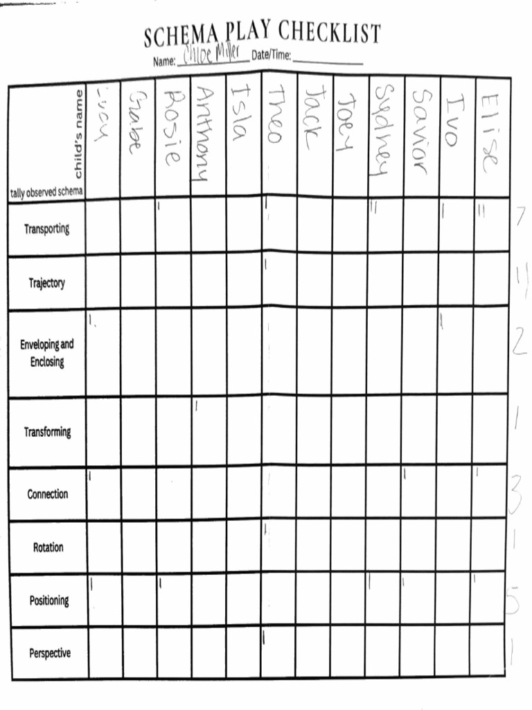 Edt 313 Schema Checklist | PDF