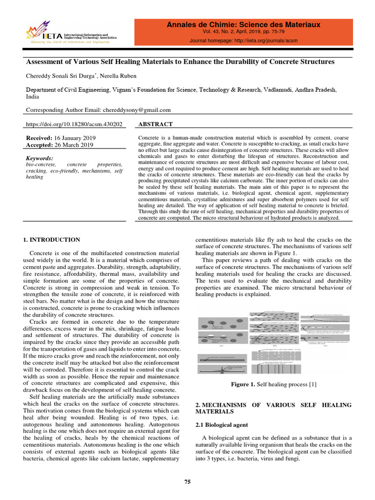 ACSM-IIETA | PDF | Concrete | Cement