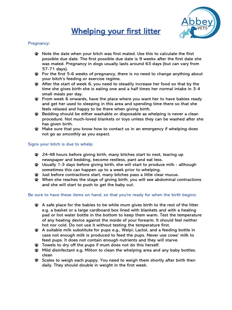 Whelping Your First Litter | PDF