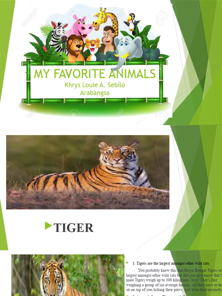 My favorite animals | PDF