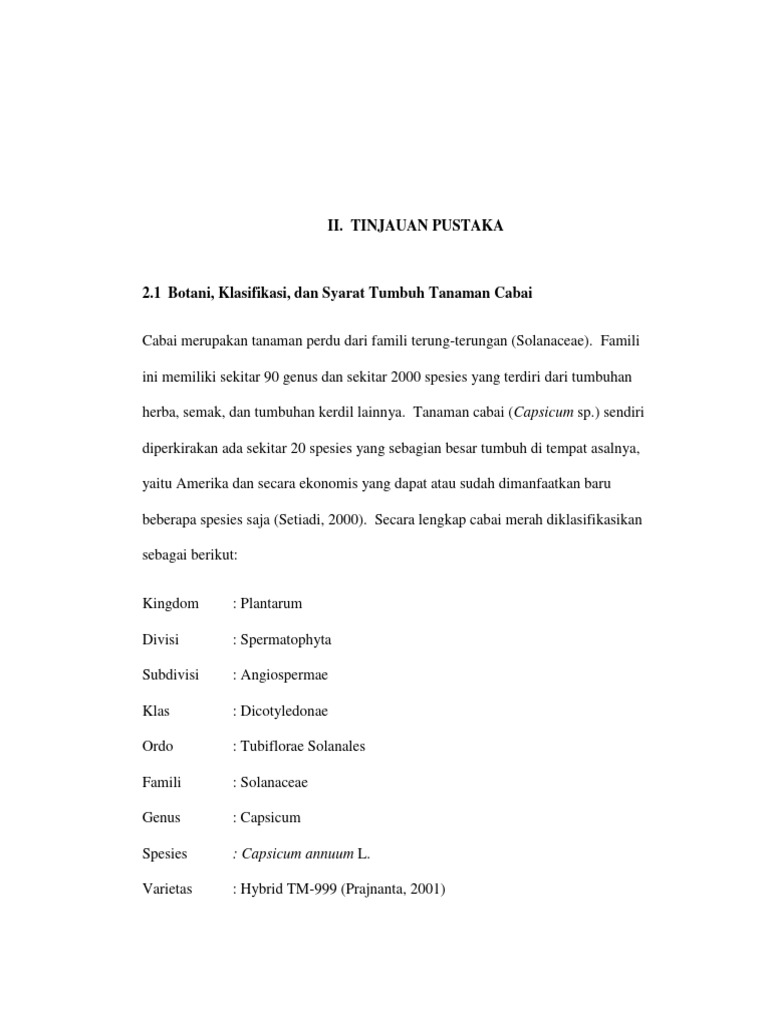 Klasifikasi dan Pertumbuhan Tanaman Cabai | PDF | Griya & Taman | Teknologi & Rekayasa
