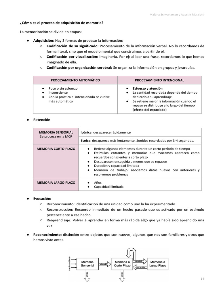 14-26 Psico | PDF | Las emociones | Glándula suprarrenal
