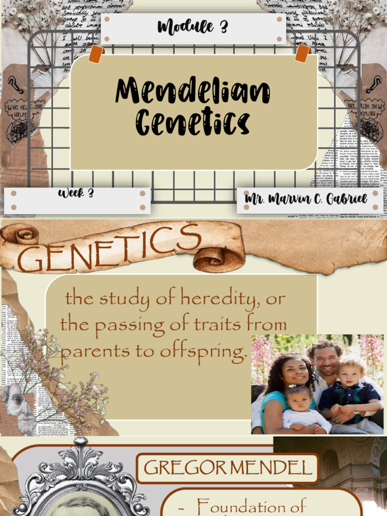 4th Module 3 Mendelian Genetics | PDF | Dominance (Genetics) | Genetics