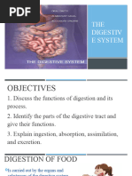 Grade 4 Science: Digestive System Overview | PDF | Digestion | Human ...