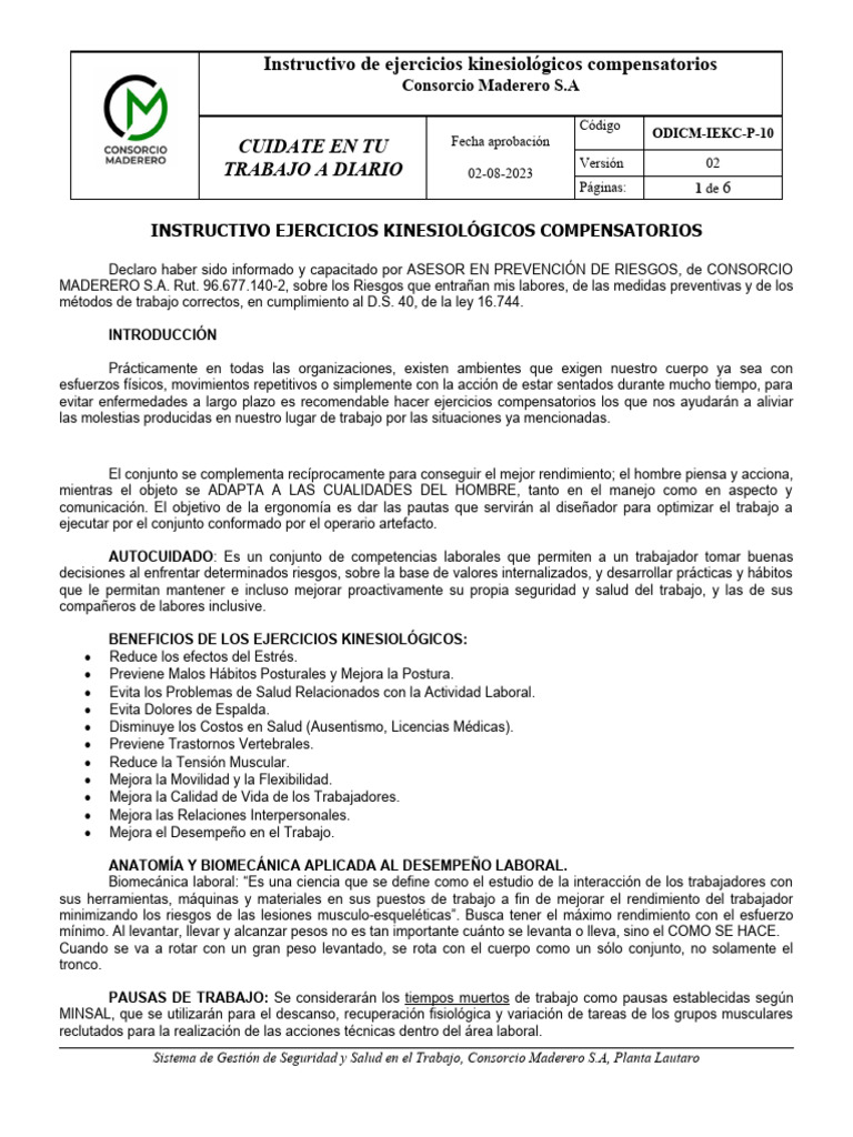 Odicm-Iekc-P-10 Instructivo Ejercicios Kinesiológicos Compensatorios | PDF | La columna ...