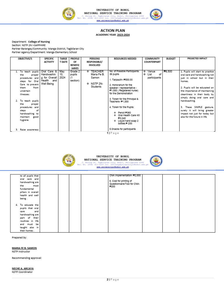 Action-Plan-Template-NSTP-2N I-SAPPHIRE | PDF | Hand Washing | Public ...