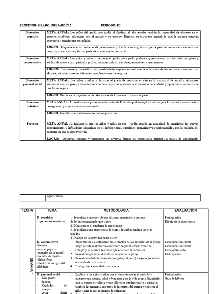 Plan Educativo Prejardín: Desarrollo Integral | PDF | Dibujo | Cognición
