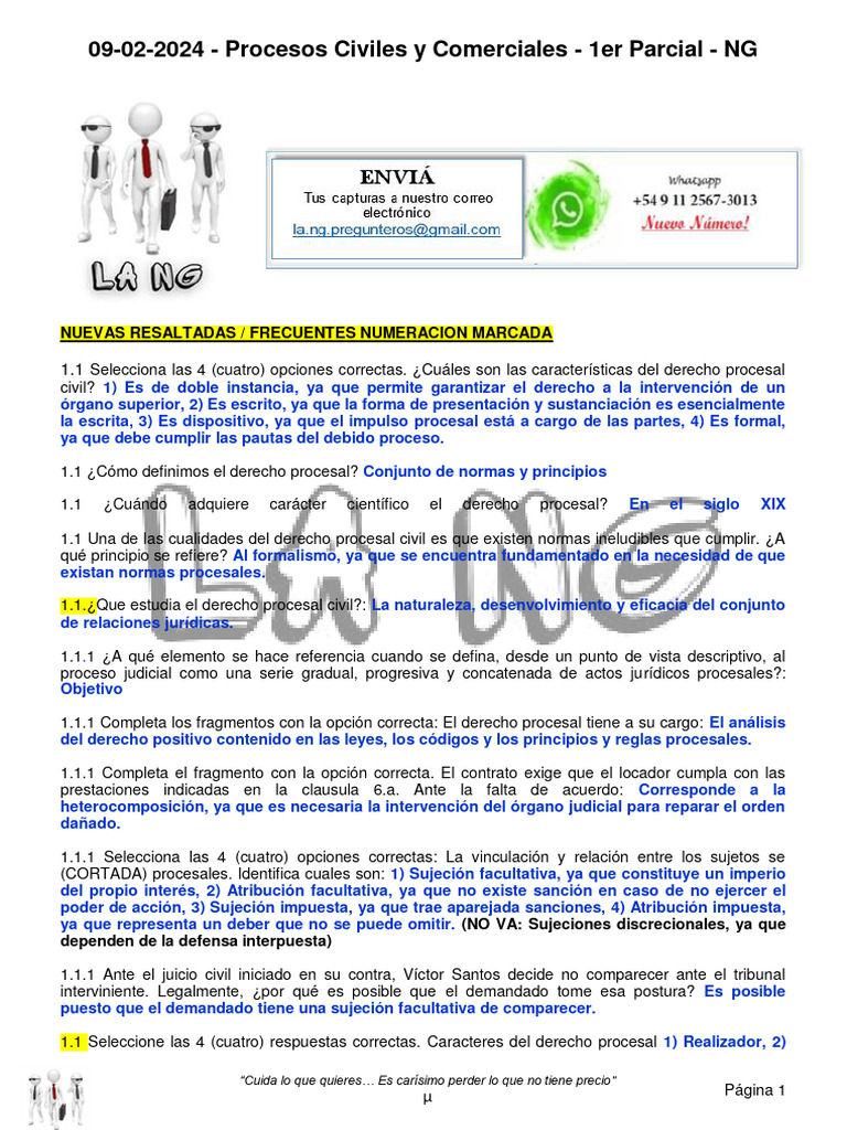 09 02 2024 Procesos Civiles y Comerciales 1er Parcial NG | Descargar gratis PDF | Ley procesal ...